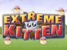 Flying Cat Game,Launch Kitten Online free for kids,Android mobile phone ...